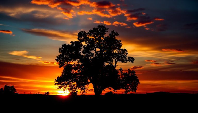 Mastering Contrast and Lighting in Photography – NeatPhotoRest