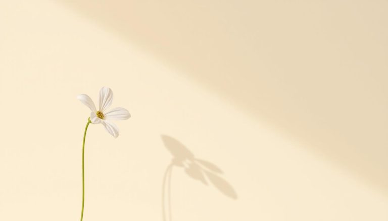 Minimalist Photography Ideas: Capture Simplicity – NeatPhotoRest