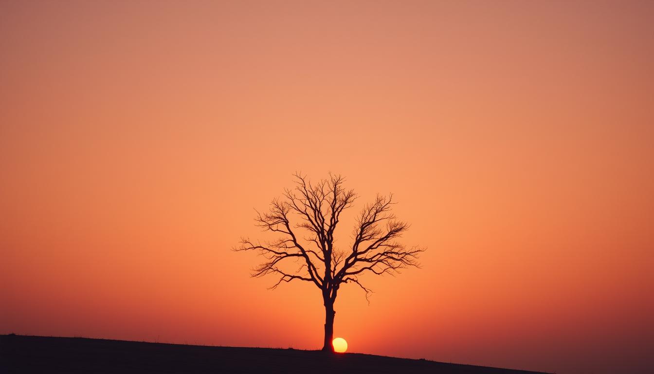 Mastering Minimalist Photography: Tips and Techniques – NeatPhotoRest